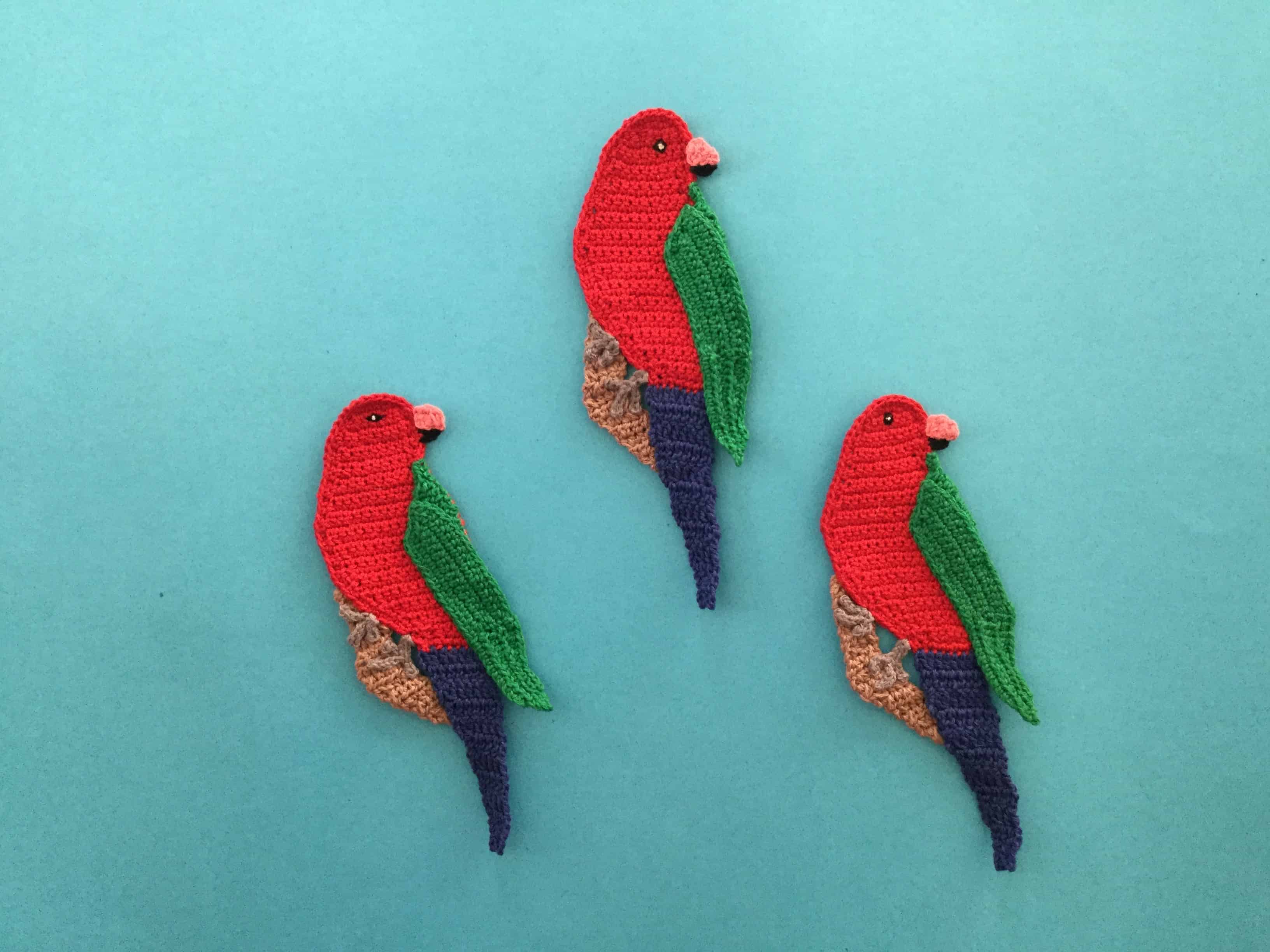 King Parrot Crochet Pattern (UK Version) • Kerri's Crochet