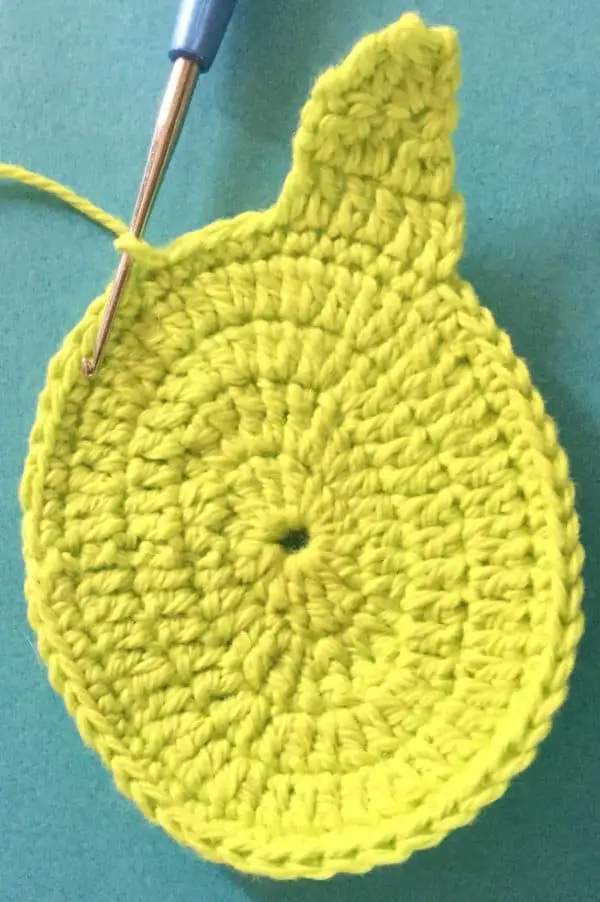 Crochet Turtle Pattern • Kerri's Crochet