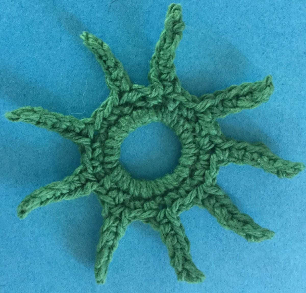 crochet-turtle-shell-marking-row-one • Kerri's Crochet