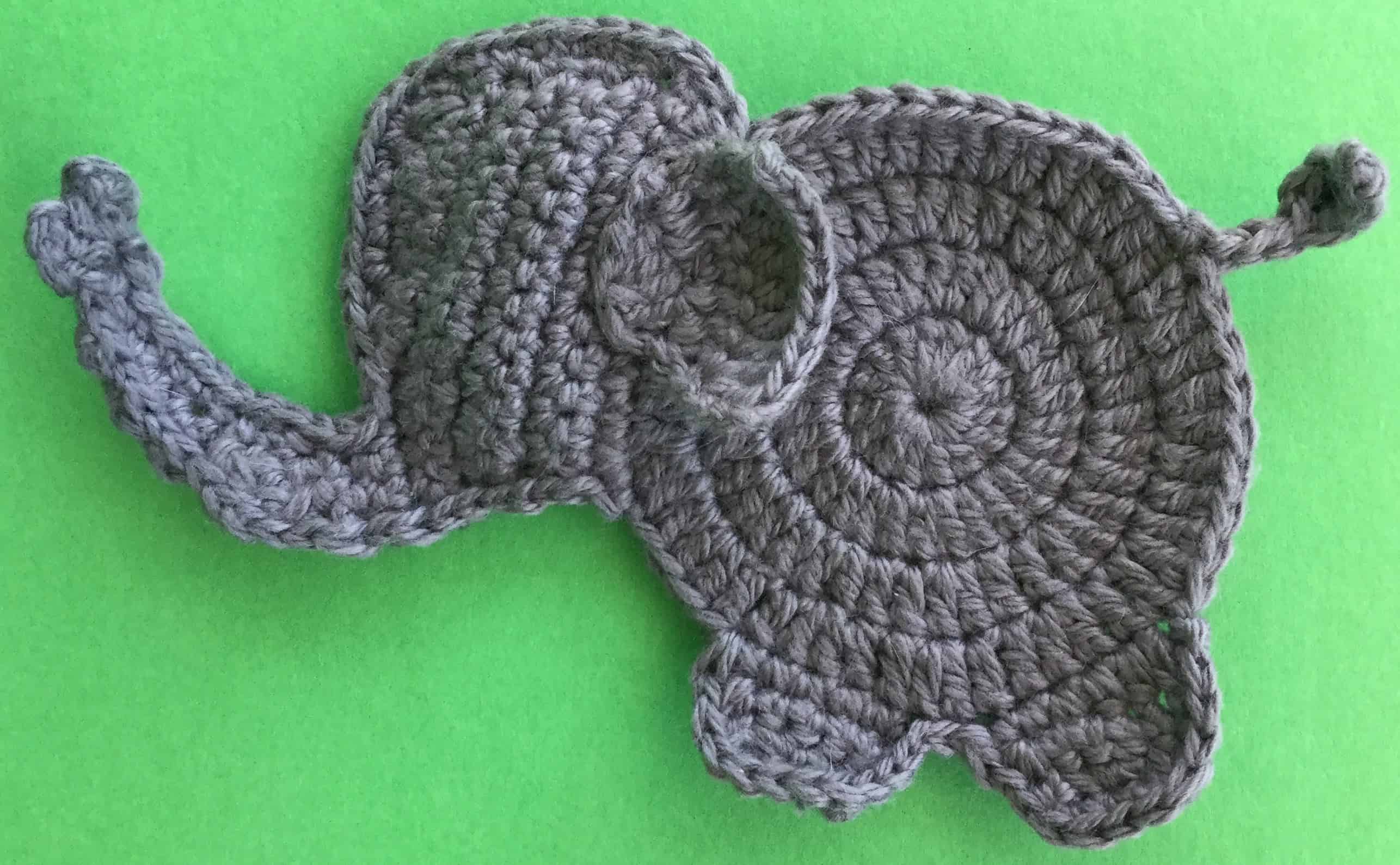 crochet-baby-elephant-body-with-ear • Kerri's Crochet