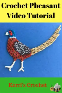 Crochet Pheasant Tutorial • Kerri's Crochet