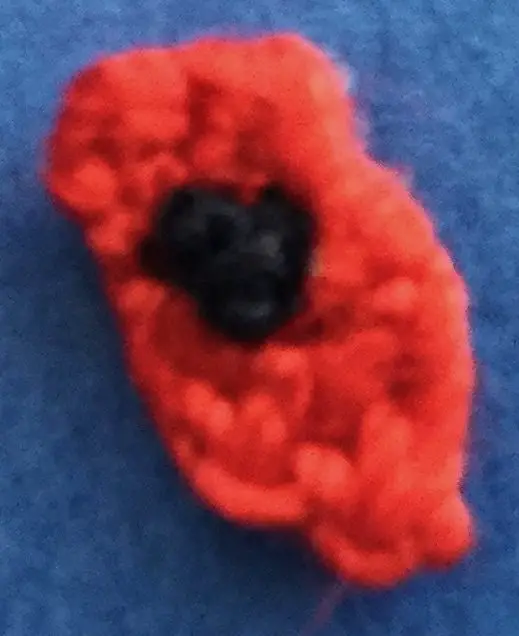 crochet-pheasant-2-ply-face-marking-with-eye • Kerri's Crochet