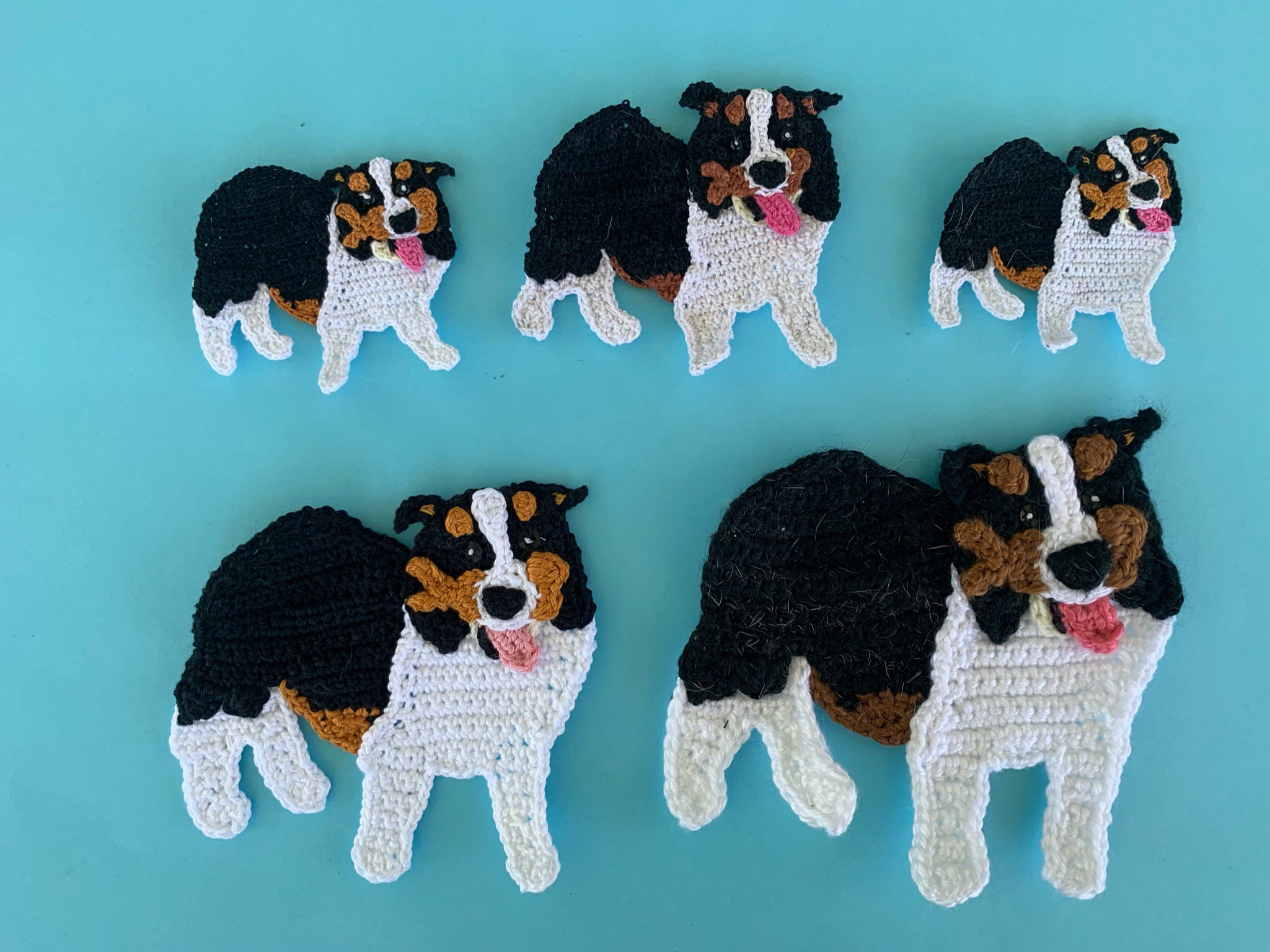 finished-crochet-tri-colored-border-collie-3-ply-group-landscape ...