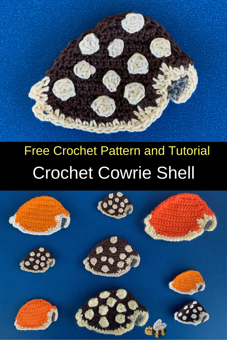 Crochet Cowrie Shell Pattern • Kerri's Crochet