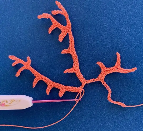 Crochet Coral Pattern • Kerri's Crochet