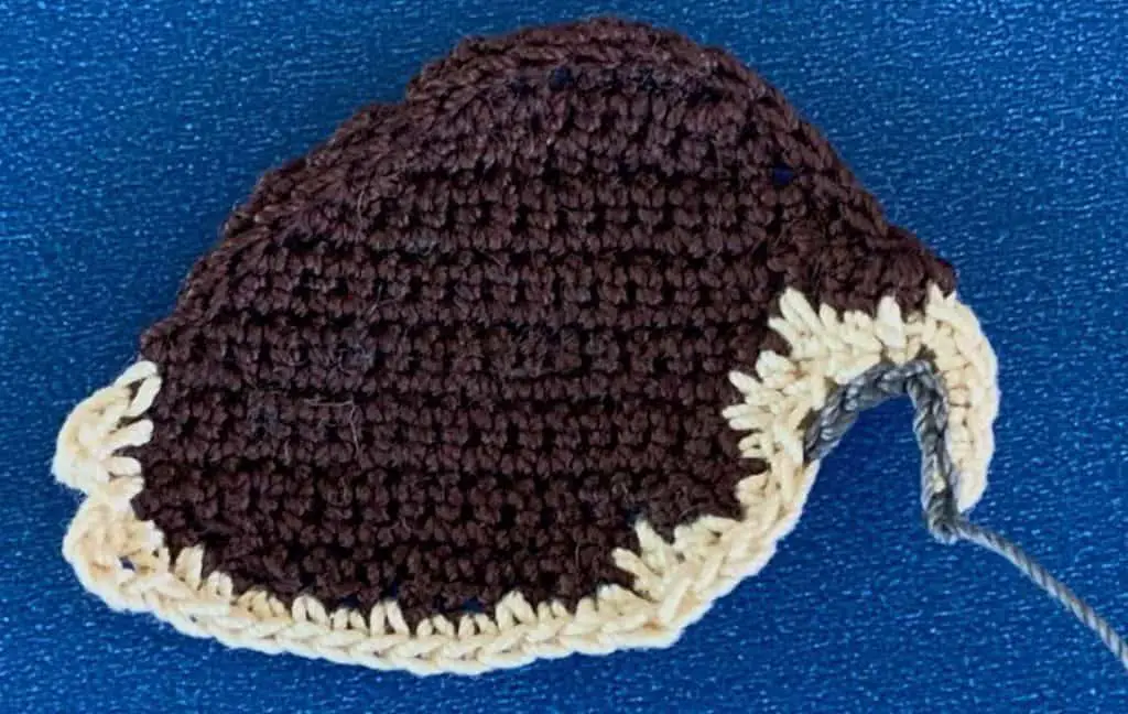 Crochet Cowrie Shell Pattern • Kerri's Crochet