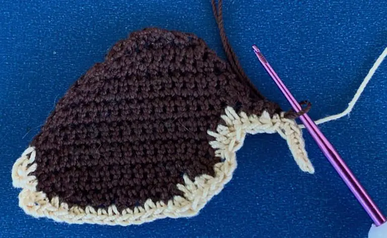 Crochet Cowrie Shell Pattern • Kerri's Crochet