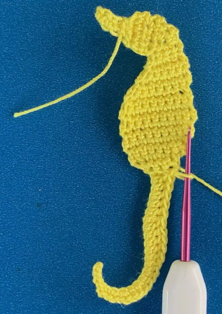 Crochet Seahorse Pattern • Kerri's Crochet