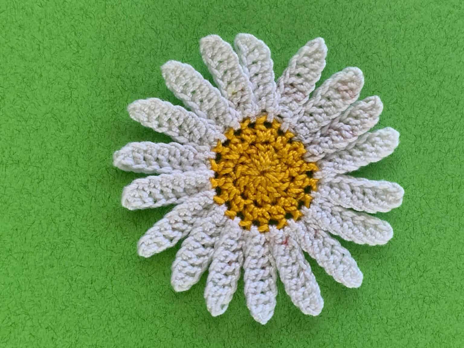 Crochet Water Lily Pattern • Kerri's Crochet