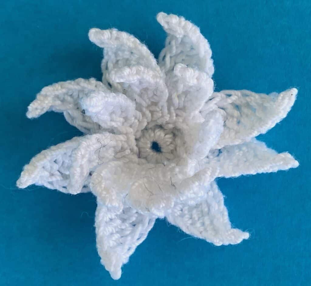 Crochet Water Lily Pattern • Kerri's Crochet