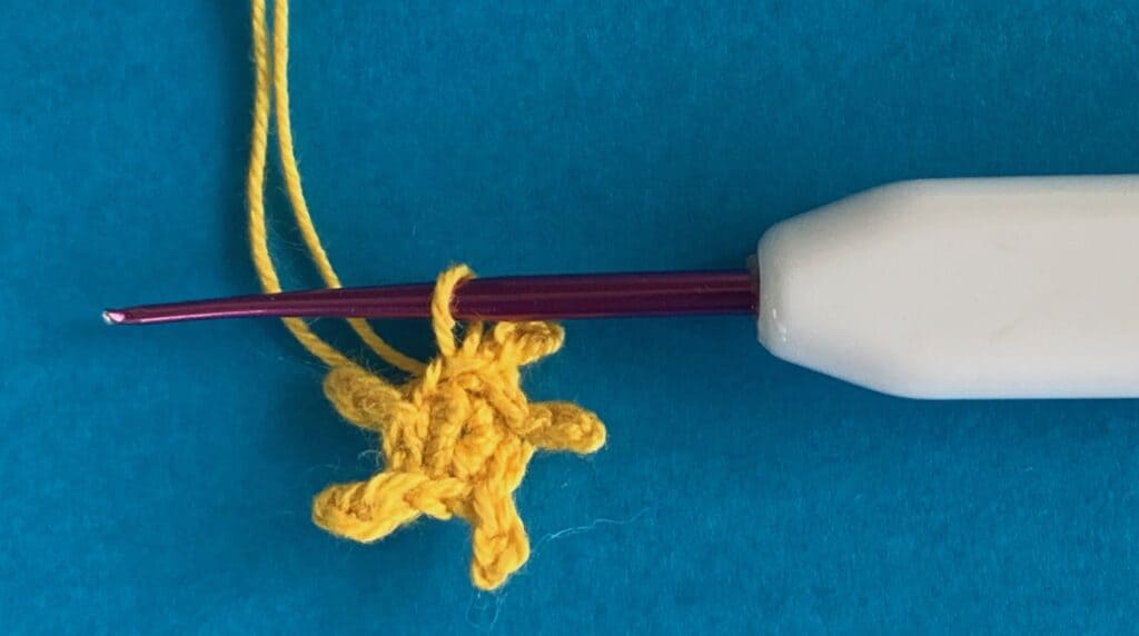 Crochet Water Lily Pattern • Kerri's Crochet