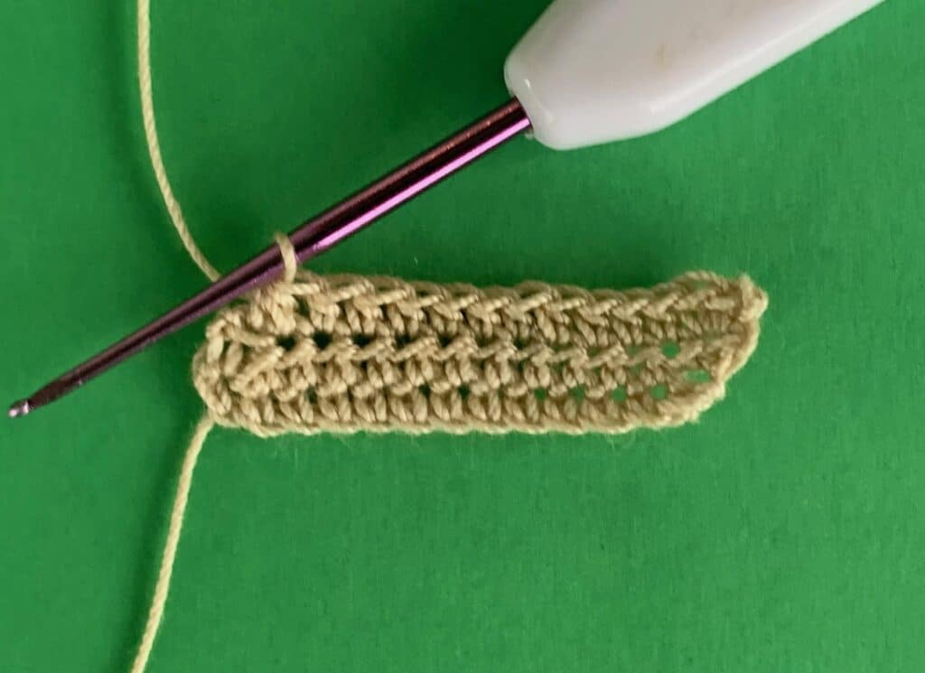 Crochet Cricket Pitch Pattern • Kerri's Crochet