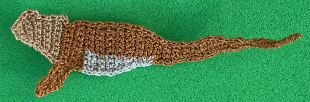 Crochet Lizard Pattern • Kerri's Crochet