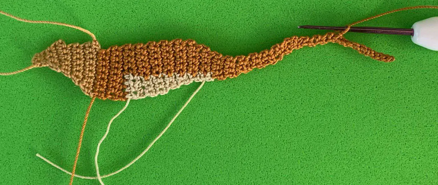 Crochet Lizard Pattern • Kerri's Crochet