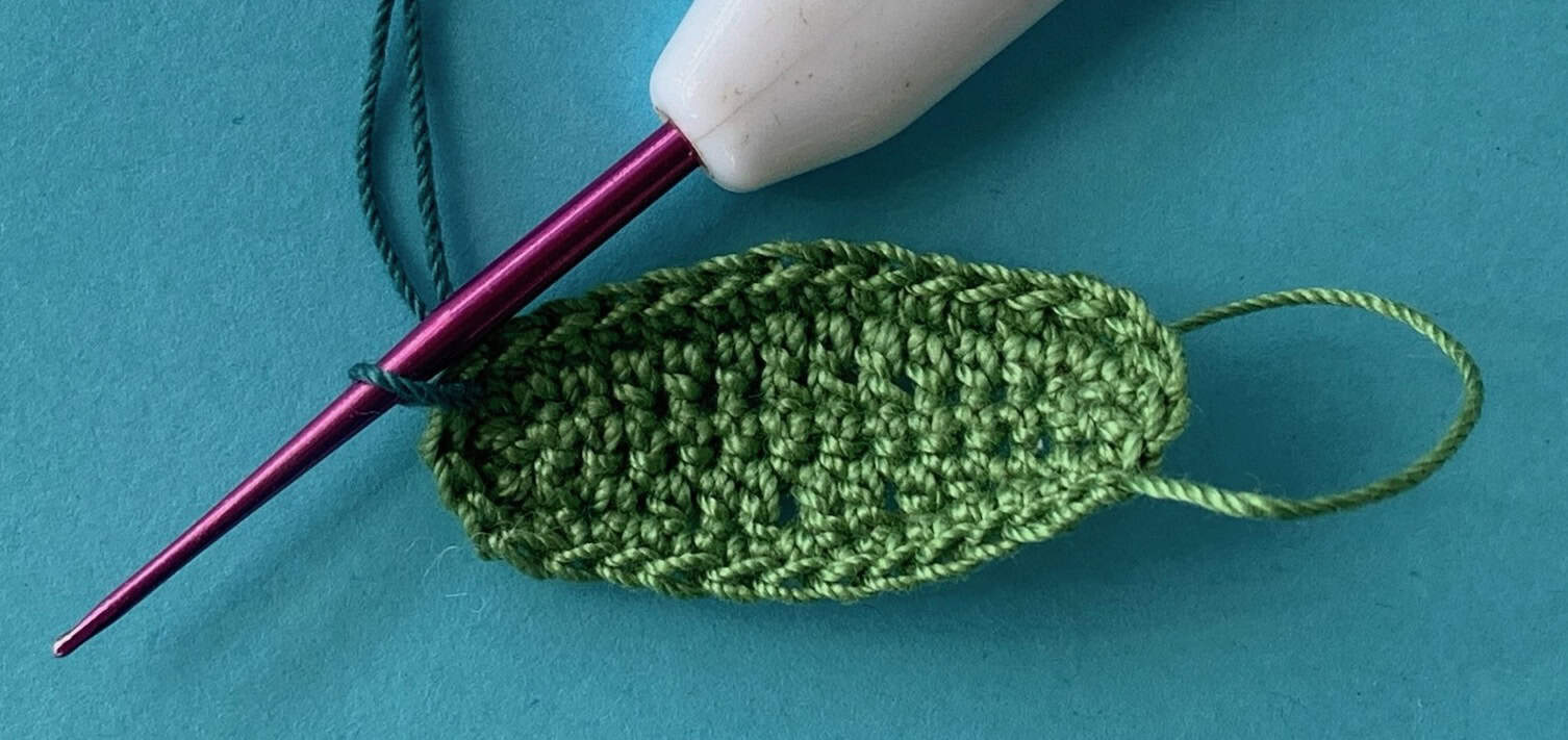 Crochet Turtle Pattern • Kerri's Crochet