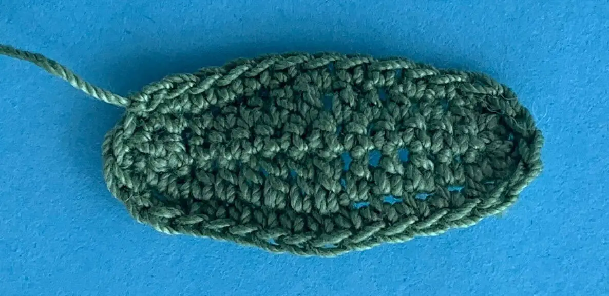 Crochet Turtle Pattern • Kerri's Crochet