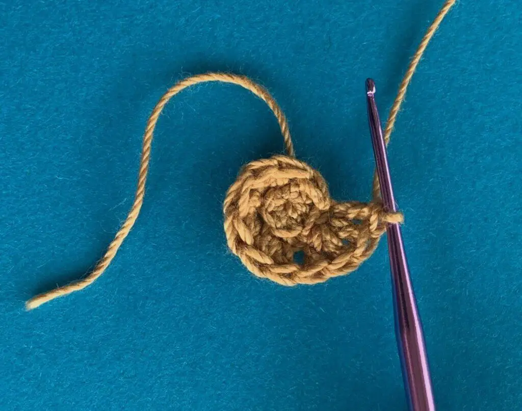 crochet-snail-2-ply-shell-row-2 • Kerri's Crochet